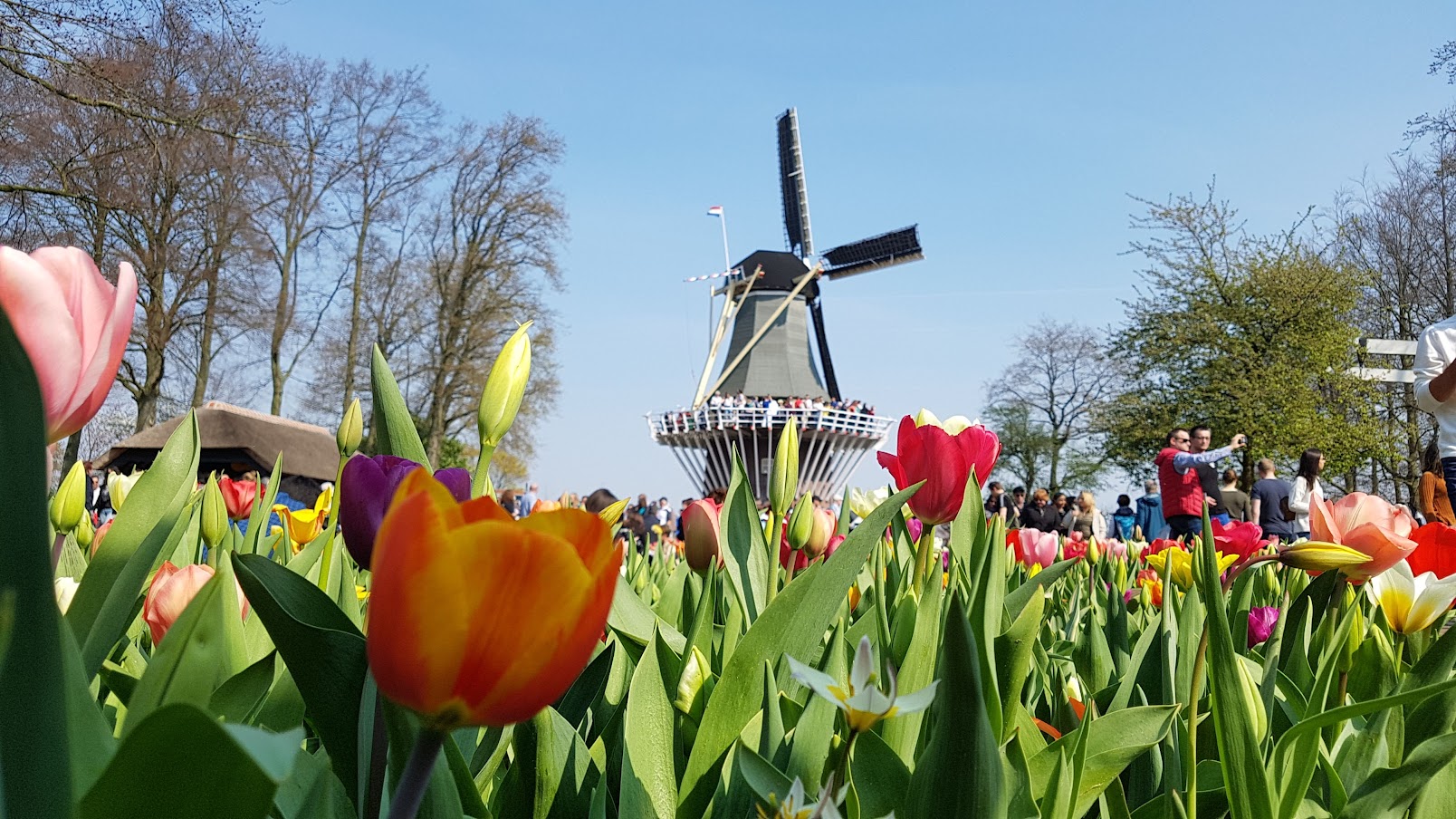 Things to do in Amsterdam in 2023? - Historical Amsterdam Tours